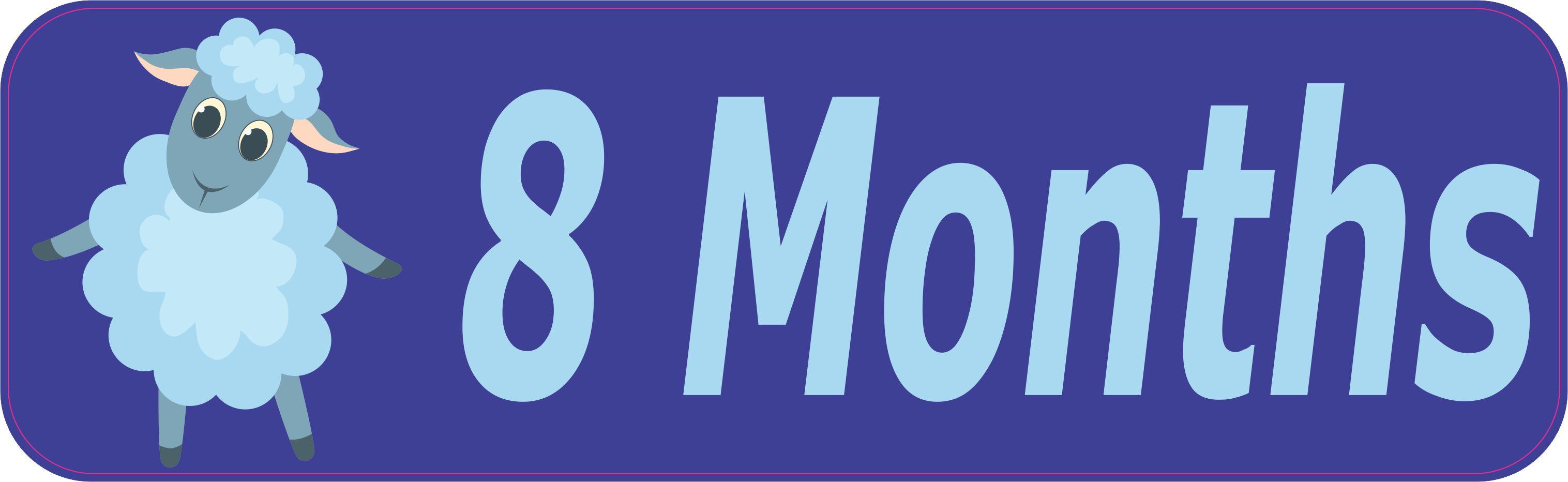 10in x 3in 8 Month Magnet Boy Door Magnetic Sign Magnets Signs ...